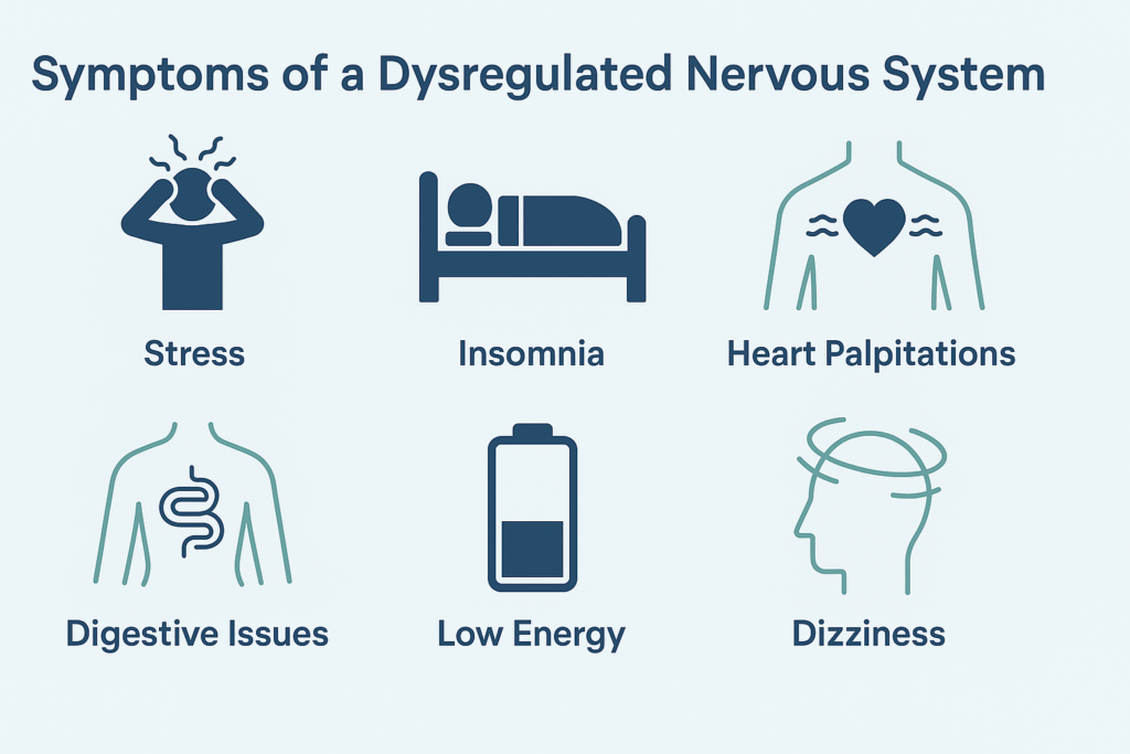 What is a Dysregulated Nervous System? | IHF