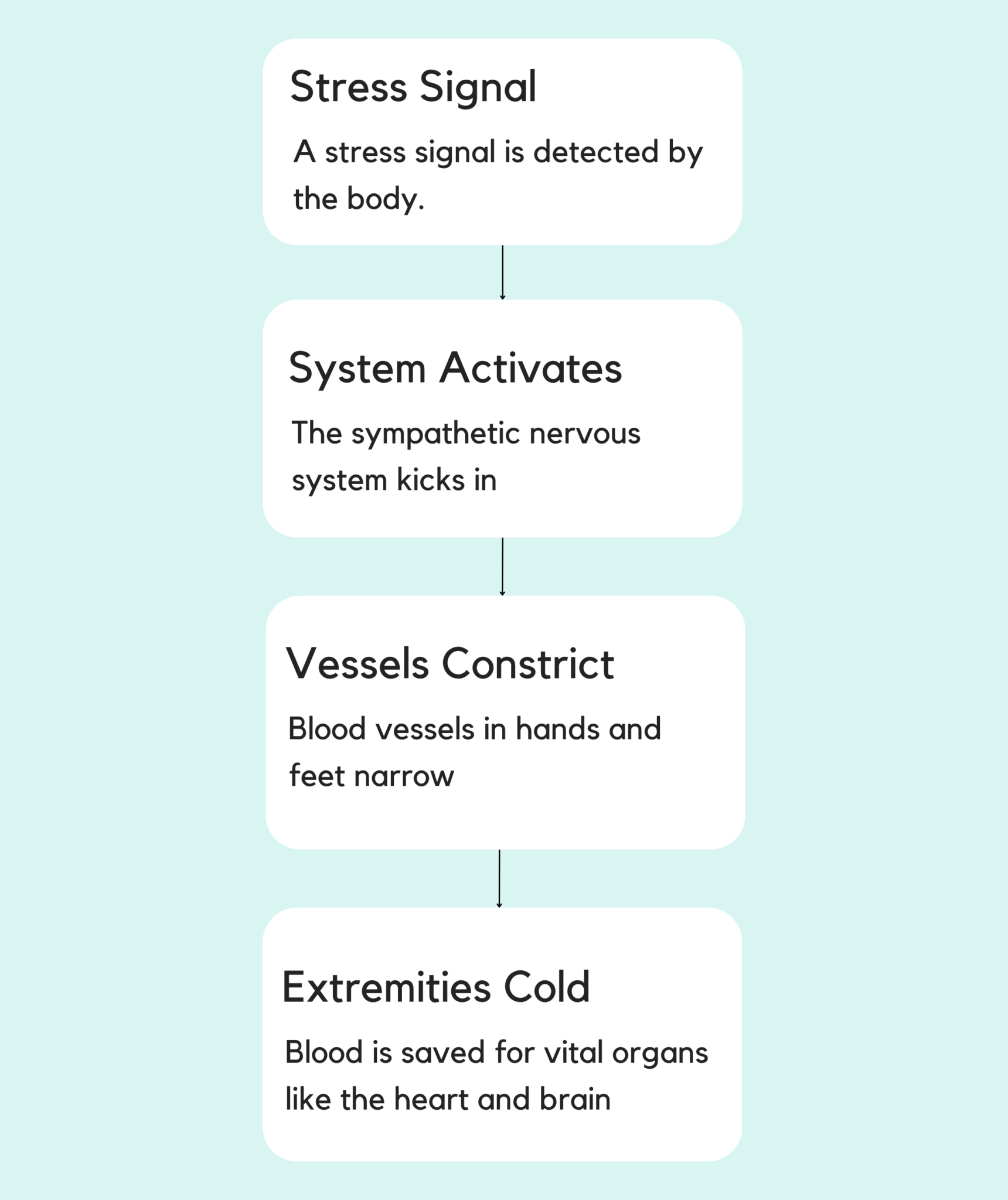 Why Cold Hands and Feet Signal Nervous System Stress | Integrated ...