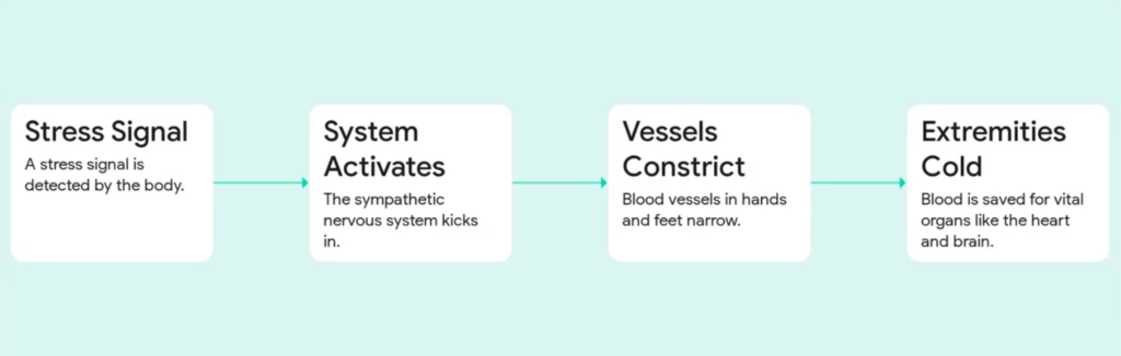Why Cold Hands and Feet Signal Nervous System Stress | Integrated ...