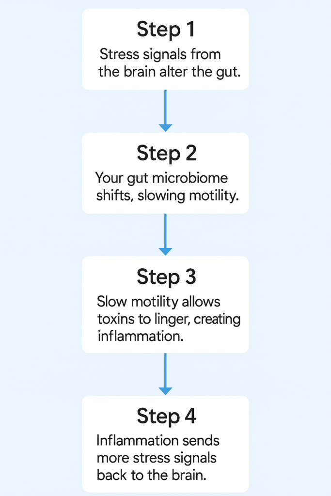 Constipation and the Autonomic Nervous System | Integrated Health ...